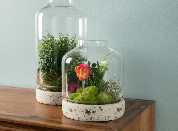 Create Your Own Terrarium in 5 Simple Steps! | Bob's Blog