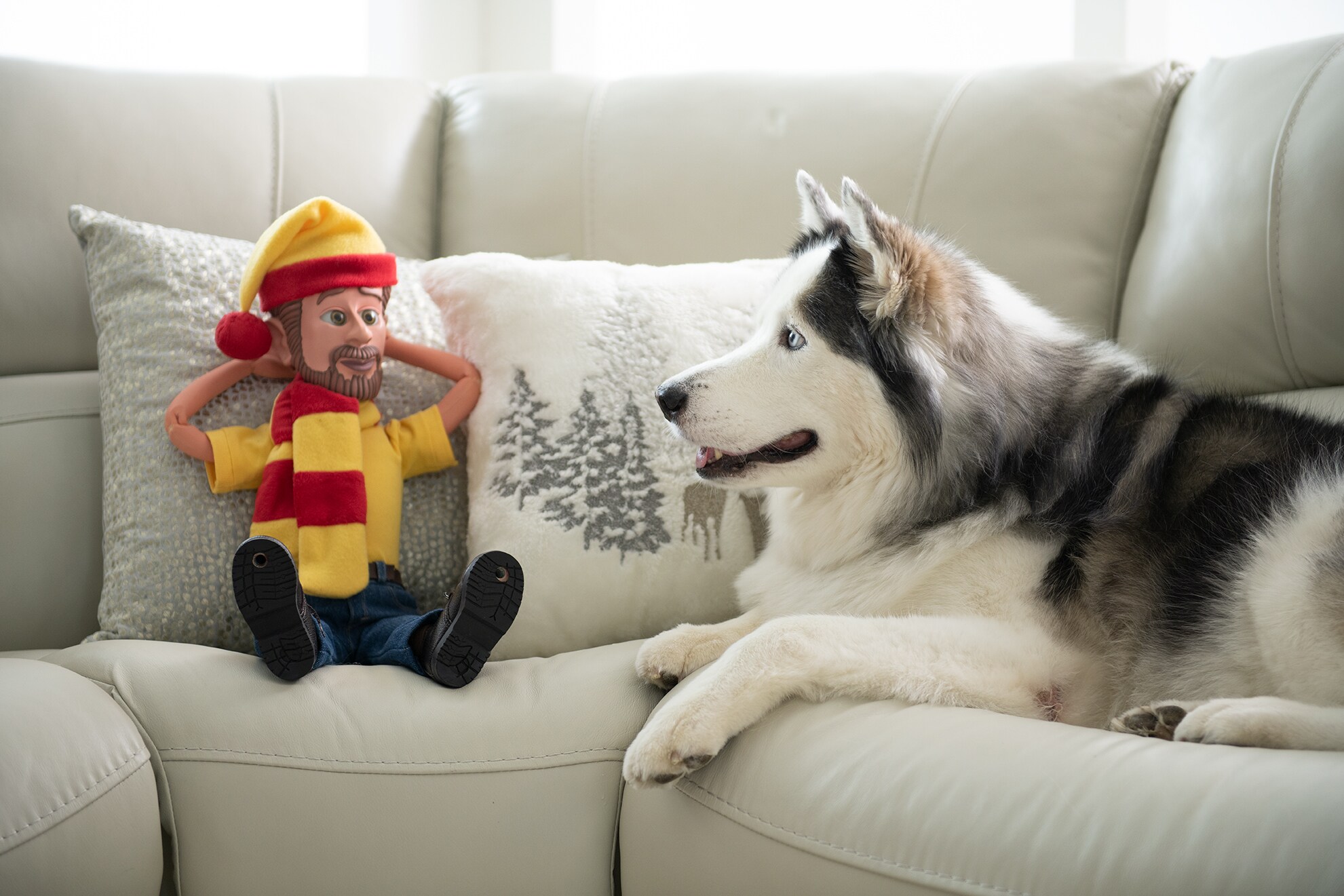 Celebrate National Dog Day with Bob's | Bob's Blog